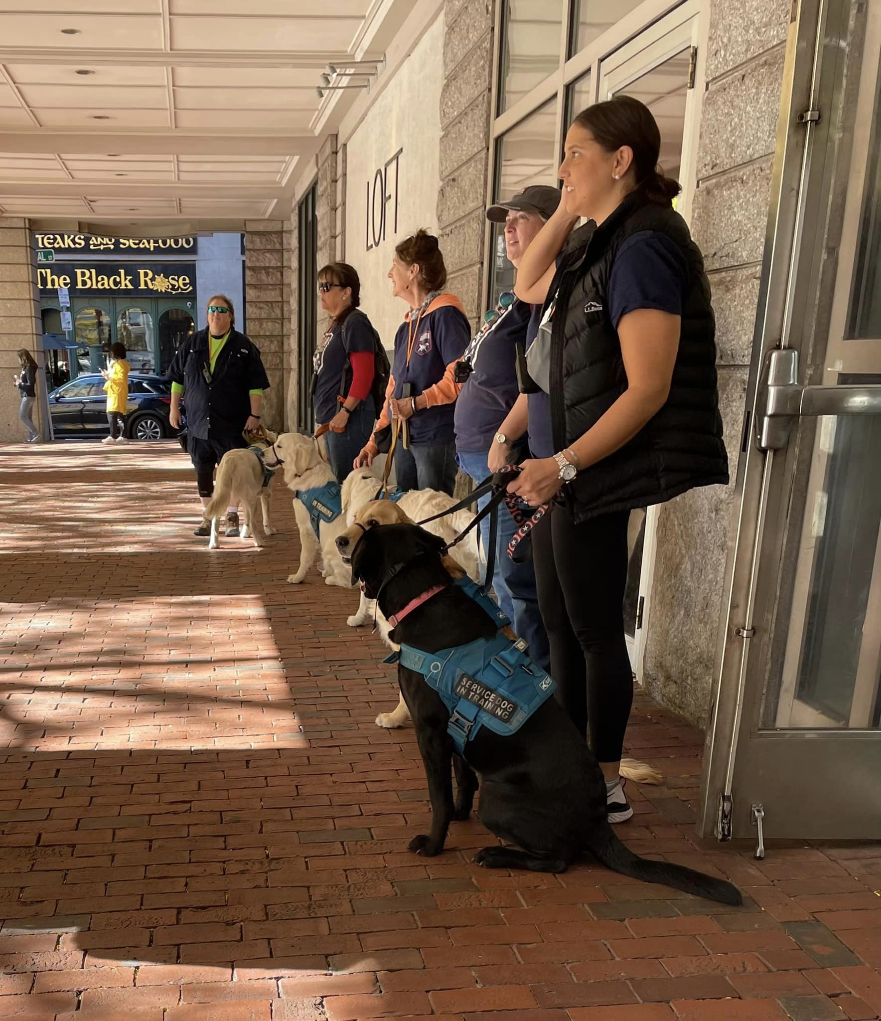 Apply to Volunteer - Mission Working Dogs