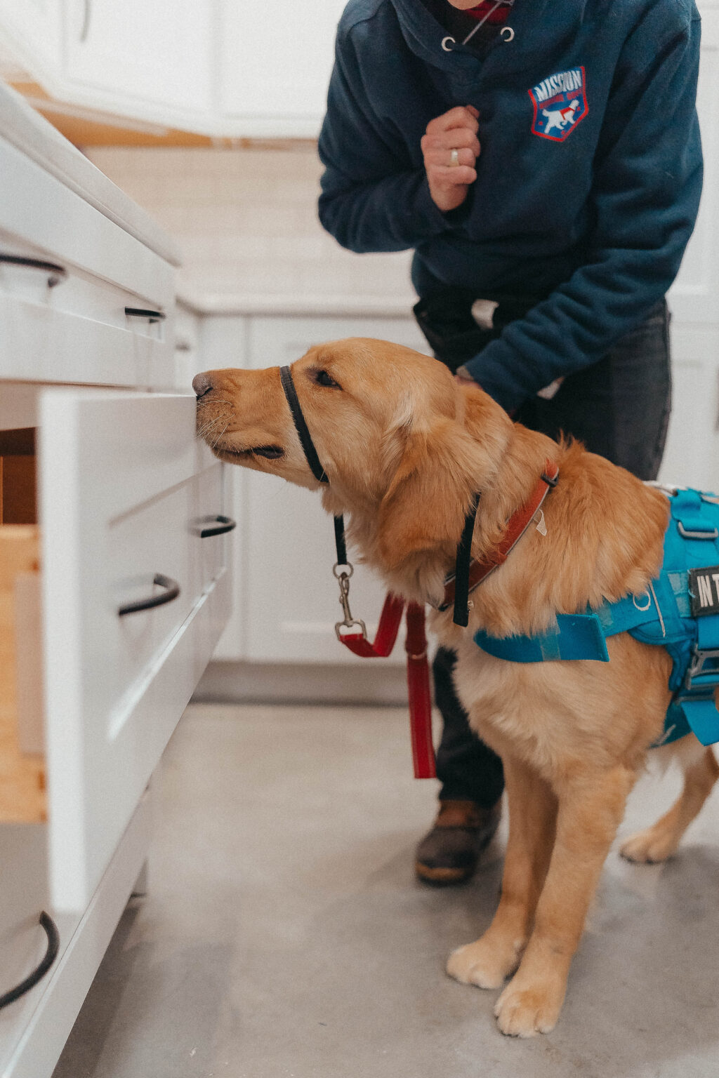 Apply for a Service Dog in Maine - Mission Working Dogs